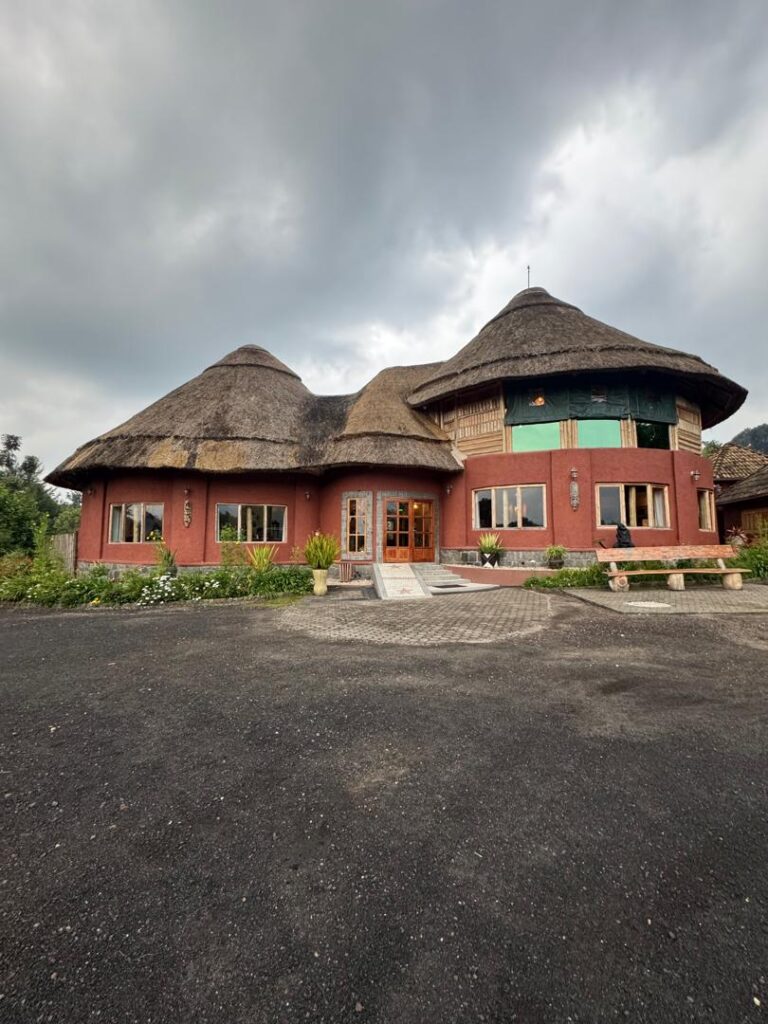 Best Relaxing Lodges for Gorilla Trekking in Rwanda Today