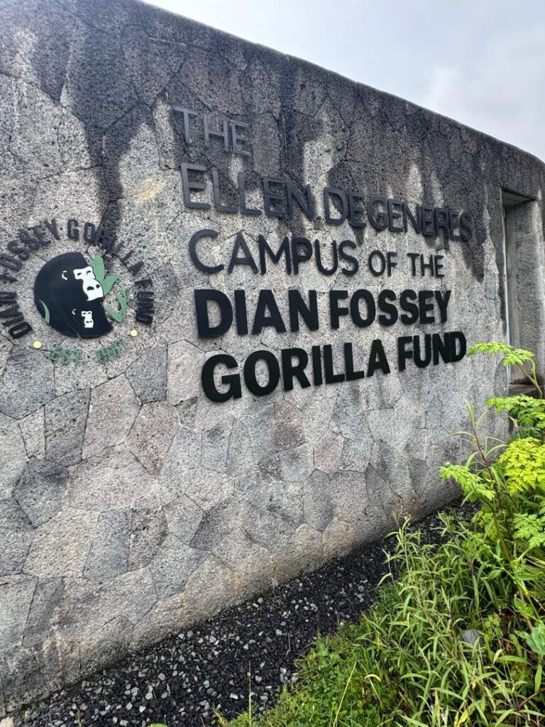Ellen DeGeneres Campus Conservation Education Tourism rwanda