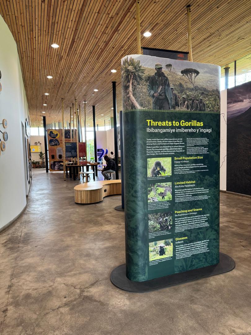 Ellen DeGeneres Campus Conservation Education Tourism rwanda